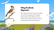 Biology Subject For High School Bird Migration Presentation