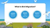 Biology Subject For High School Bird Migration Presentation