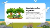 Biology Subject For High School Bird Migration Presentation