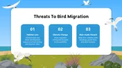 Biology Subject For High School Bird Migration Presentation