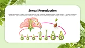 Biology Subject For High School Reproduction In Plants PPT