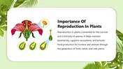 Biology Subject For High School Reproduction In Plants PPT