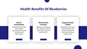 Explore This Pick Blueberries Day PowerPoint Presentation