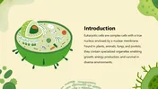 The Biology Subject for Middle School Eukaryotic Cell PPT
