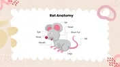 Biology Subject For High School Rats Anatomy Presentation