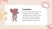 Biology Subject For High School Rats Anatomy Presentation