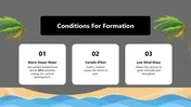 High School Natural Disasters Tropical Cyclone PowerPoint