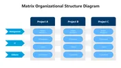 Matrix Organizational Structure Diagram Presentation
