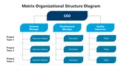 Matrix Organizational Structure Diagram Presentation