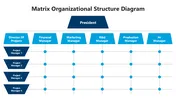 Matrix Organizational Structure Diagram Presentation