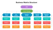 Business Matrix Structure PowerPoint Presentation