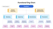Informative Functional Org Chart PowerPoint Presentation