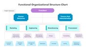 Functional Organizational Structure Chart Presentation