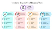 Functional Organizational Structure Chart Presentation