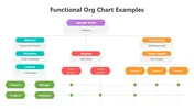 Functional Org Chart Examples PowerPoint Presentation