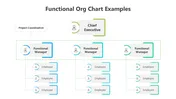 Functional Structure Org Chart Presentation Template