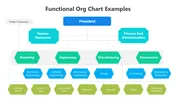 Functional Structure Organizational Chart Presentation