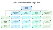 Cross Functional Team Org Chart PowerPoint Presentation
