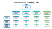 Cross Functional Team Org Chart PowerPoint Presentation