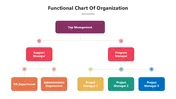 Explore This Functional Chart Of Organization PowerPoint
