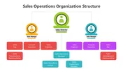 Sales Operations Organization Structure Presentation