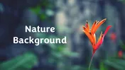 Beautiful Nature Background PowerPoint Presentation