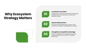 Download This Ecosystem Strategy PowerPoint Presentation
