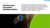 Ecosystem In Business Examples PowerPoint Presentation