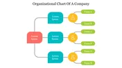 Organization Chart PowerPoint and Google Slides Templates