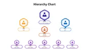 Ready To Use Hierarchy Chart PowerPoint And Google Slides