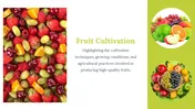 Explore Fruits PowerPoint and Google Slides Templates