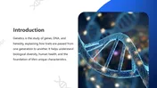 Download This Genetics PowerPoint And Google Slides