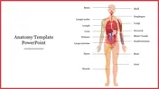 Human Body PPT Templates Presentation and Google Slides