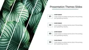 Download 3 Options Google Slides and PowerPoint Template