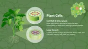 Biology Subject For Middle School Plant Cells Presentation