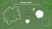 Biology Subject For Middle School Plant Cells Presentation