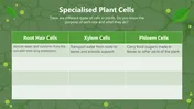 Biology Subject For Middle School Plant Cells Presentation