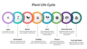 Get Now! Plant Life Cycle Google Slides And Canva Template