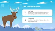 Biology Subject For Middle School Earths Biomes Tundra
