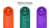 Resilience Capacity Presentation And Canva Templates