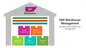 SAP Warehouse Management PowerPoint And Canva Template