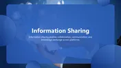 Information Sharing PPT Presentation And Canva Template