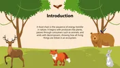 Biology Subject for High School Food Chains Presentation