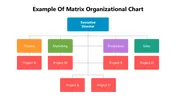 Example Of Matrix Organizational Chart Presentation