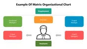 Example Of Matrix Organizational Chart Presentation