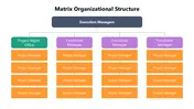 Sample Matrix Organizational Structure Presentation