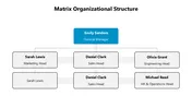 Sample Matrix Organizational Structure Presentation
