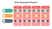 Sample Matrix Organizational Structure Presentation