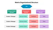 Sample Matrix Organizational Structure Presentation