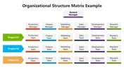 Organizational Structure Matrix Example Presentation